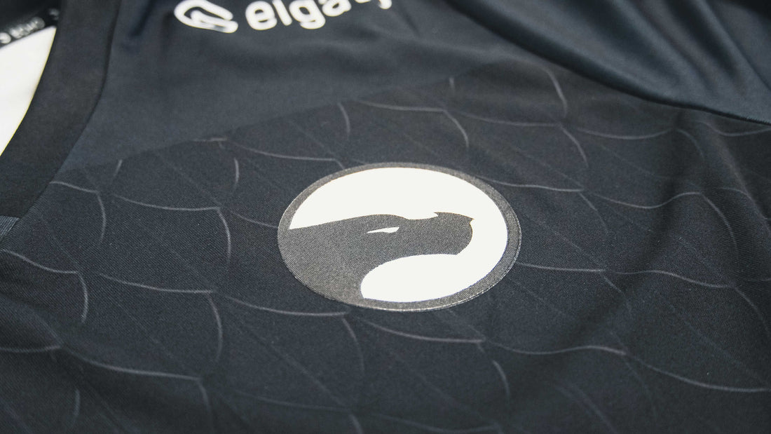 Echo Pro Jerseys – echoesports
