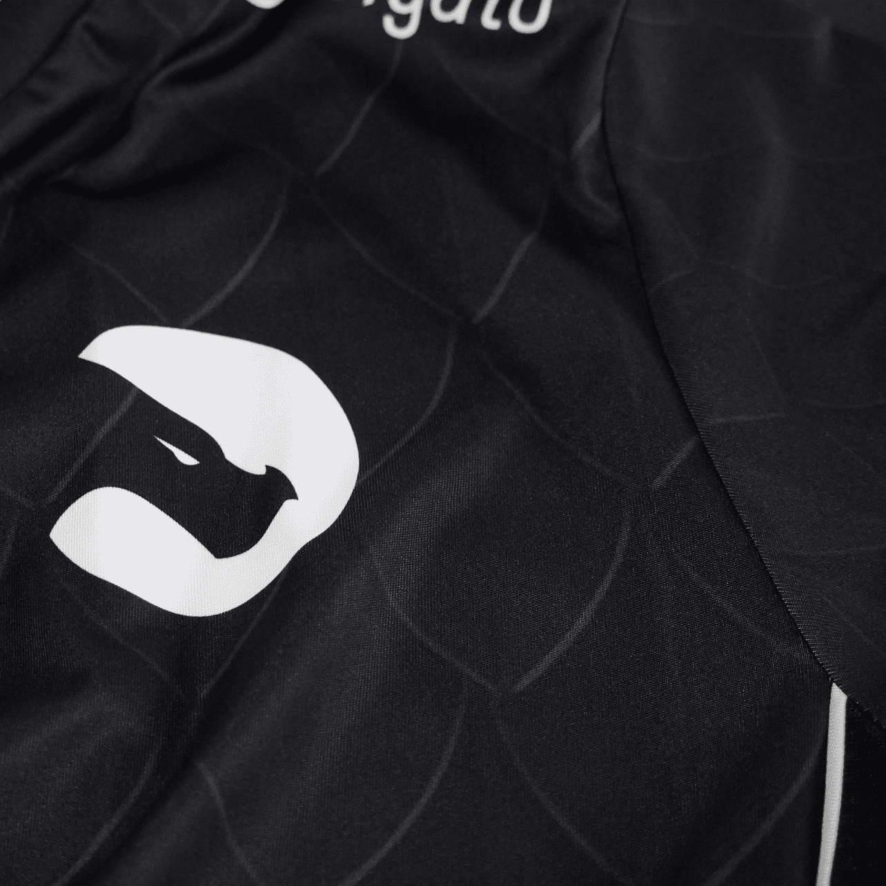 Echo Pro Jerseys – echoesports